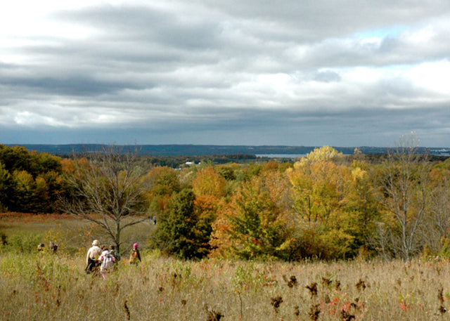 Explore Petoskey and Northern Michigan - Get Outside! — Bearcub Outfitters