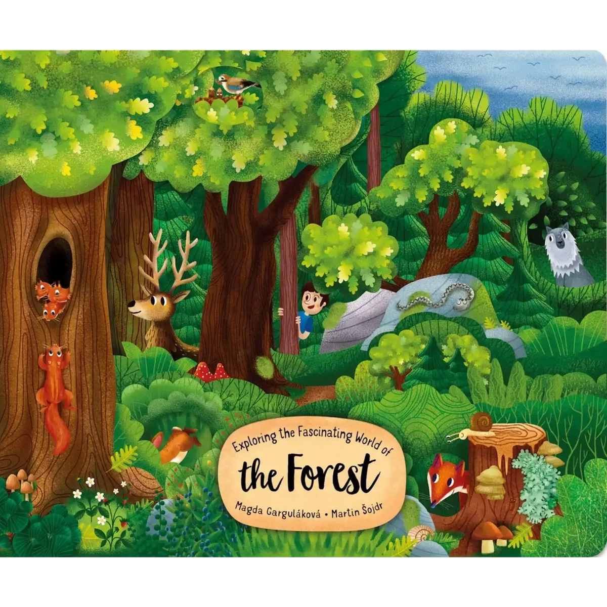 Fox Chapel Publishing Exploring the Fascinating World of the Forest ...
